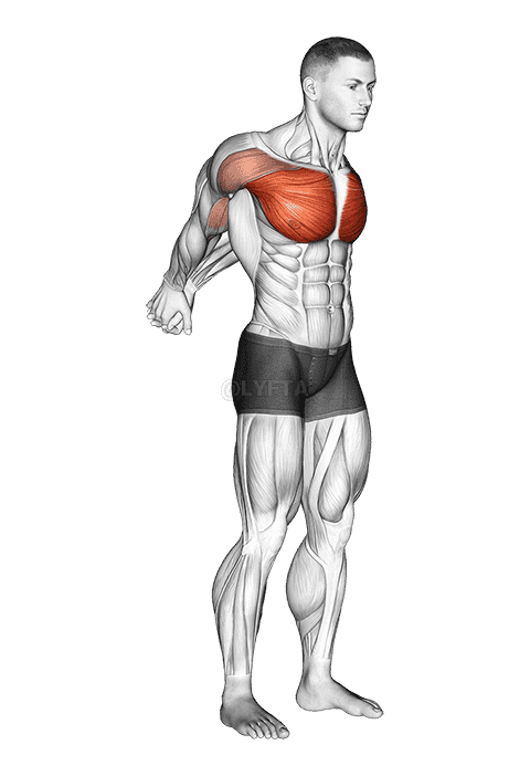 Straight Arms Backward Chest Stretch - Video Guide | Lyfta