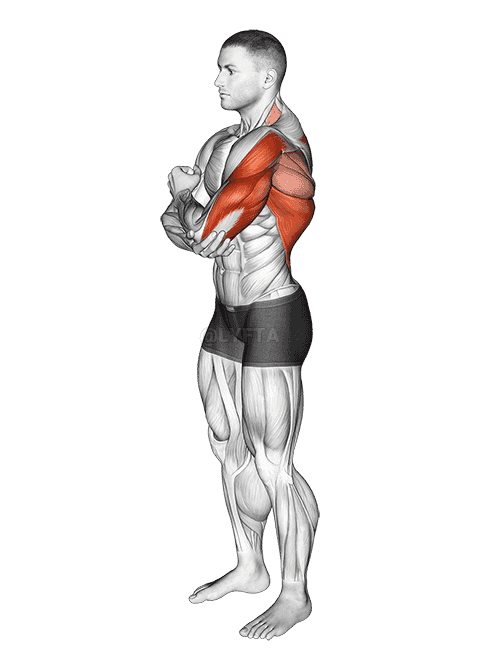 Shoulder Adductor Protractor And Elevator Stretch - Video Guide | Lyfta