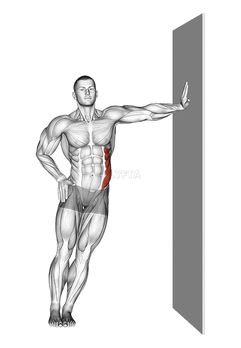 Standing Lower Trunk Lateral Flexor Stretch - Video Guide | Lyfta