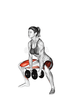 Dumbbells Sumo Squat - Video Guide | Lyfta
