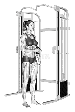 Cable Standing Shoulder External Rotation - Video Guide | Lyfta