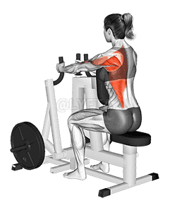 Lever Alternating Narrow Grip Seated Row - Video Guide | Lyfta