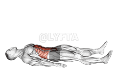 Half Sit-up - Video Guide | Lyfta