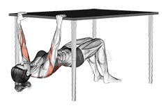 Inverted Row Bent Knee under Table - Video Guide | Lyfta