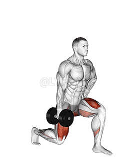Dumbbell Contralateral Forward Lunge - Video Guide | Lyfta