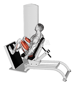 Lever Seated Horizontal Leg Press - Video Guide | Lyfta