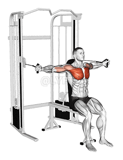 Cable Seated Chest Fly - Video Guide | Lyfta