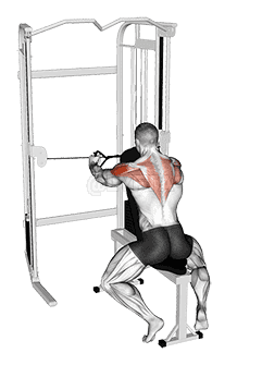 Cable Seated Rear Delt Fly with Chest Support - Video Guide | Lyfta