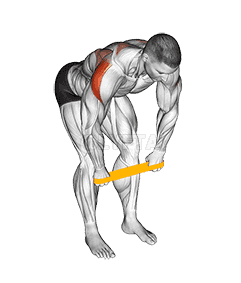 Resistance Band Bent Over Rear Delt Fly - Video Guide | Lyfta