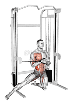 Cable Half Kneeling Adductor Pallof Press - Video Guide | Lyfta