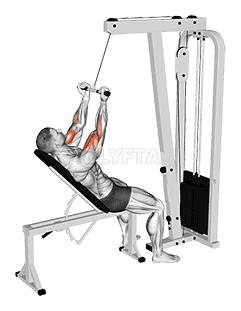Cable Incline Close grip Curl - Video Guide | Lyfta