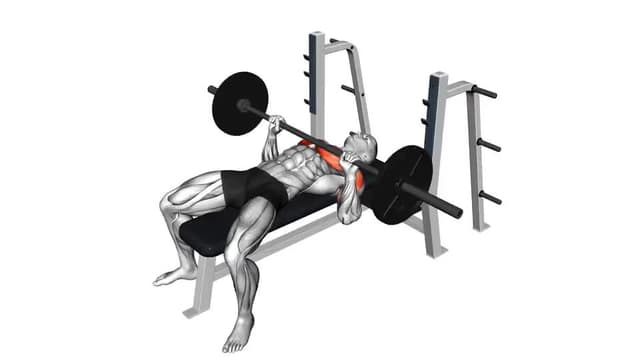 Bench Press - Video Guide | Lyfta