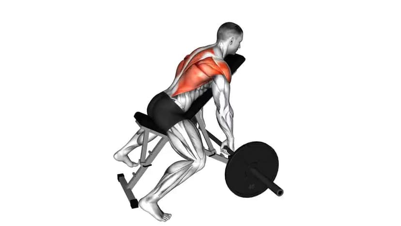 Incline Row - Video Guide | Lyfta