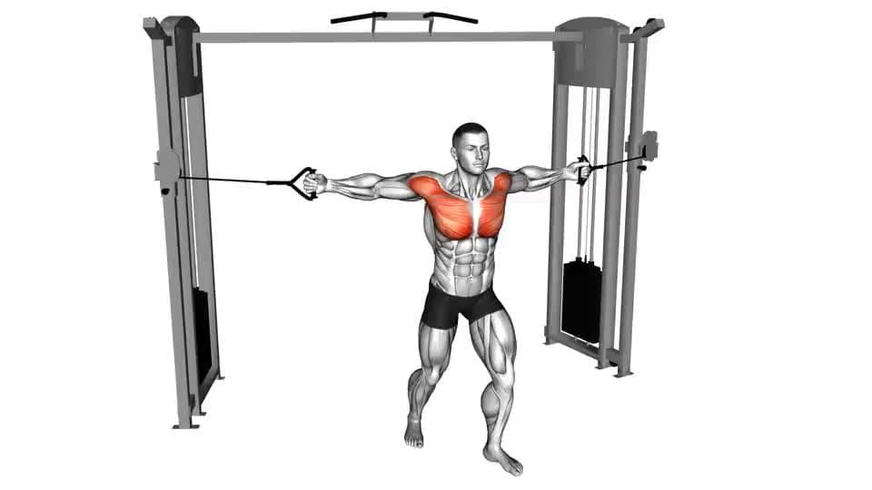 Cable Middle Fly - Video Guide | Lyfta