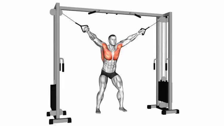 Cable Standing Fly - Video Guide | Lyfta