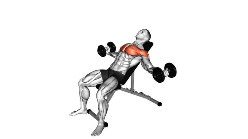 Incline Fly - Video Guide | Lyfta