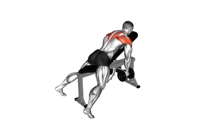 Incline Rear Lateral Raise - Video Guide | Lyfta