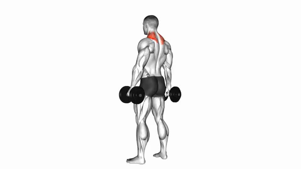 Dumbbell Shrug - Video Guide | Lyfta