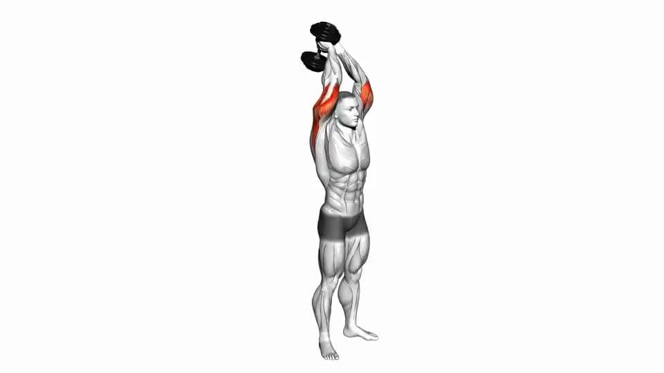 Standing Triceps Extension - Video Guide | Lyfta
