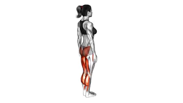 Standing Hamstring Stretch - Video Guide | Lyfta