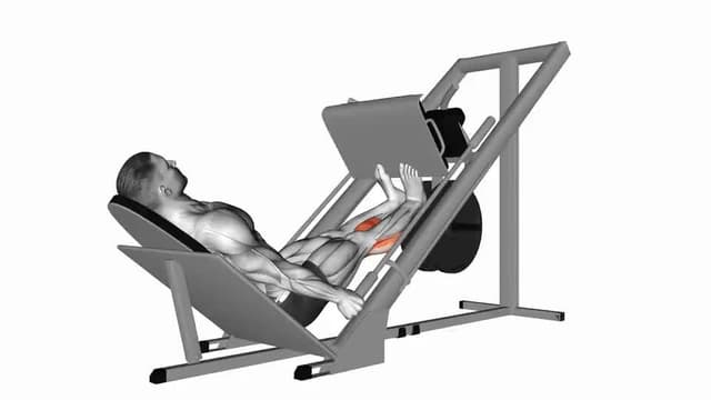 Sled Calf Press On Leg Press - Video Guide | Lyfta