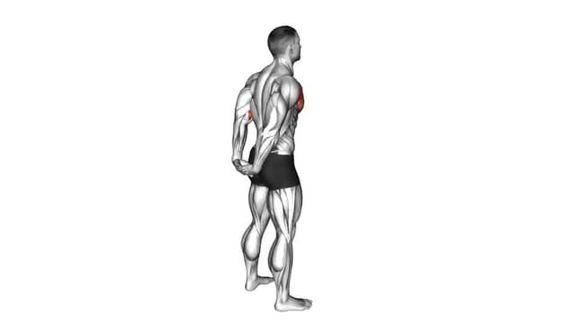 Standing Reverse Shoulder Stretch - Video Guide | Lyfta