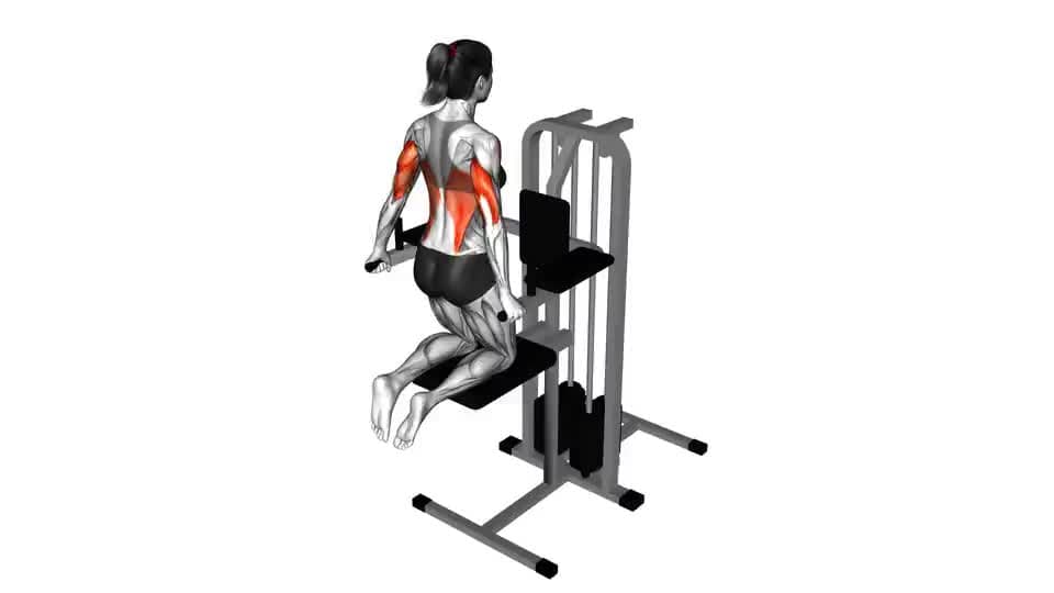 Assisted Triceps Dip - Video Guide | Lyfta