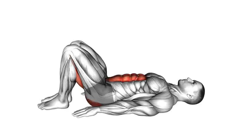 Pelvic Tilt - Video Guide | Lyfta