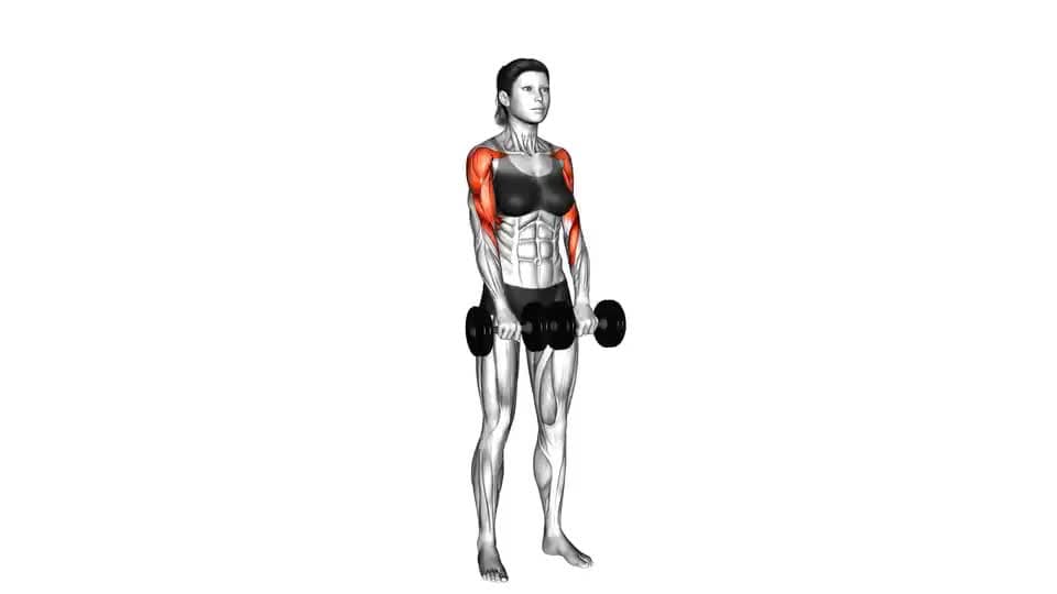 Dumbbell Upright Row - Video Guide | Lyfta