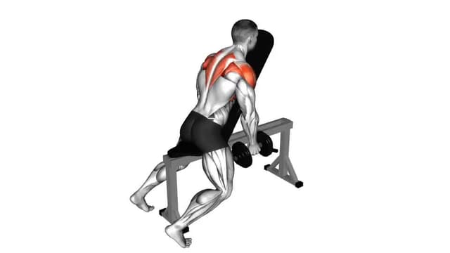 Dumbbell Chest Supported Lateral Raises - Video Guide | Lyfta