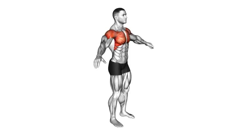 Arm Circles - Video Guide | Lyfta