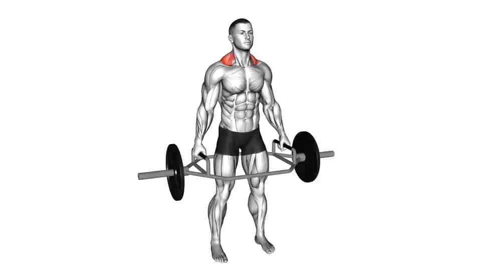 Trap Bar Standing Shrug - Video Guide | Lyfta