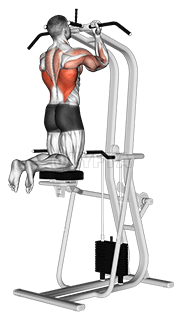 Dominadas asistidas con agarre cercano por debajo - Guía en Video | Lyfta