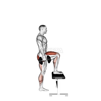 Step-up - Video Guide | Lyfta