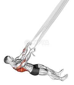 Bodyweight Row in Doorway - Video Guide | Lyfta